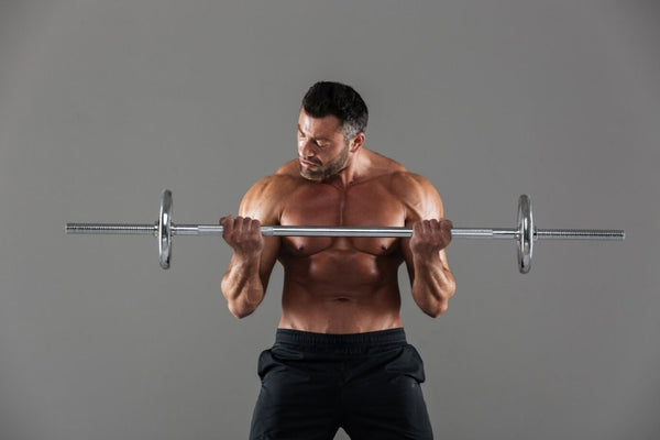 A Guide To Barbell Bicep Curls For Explosive Forearm Growth
