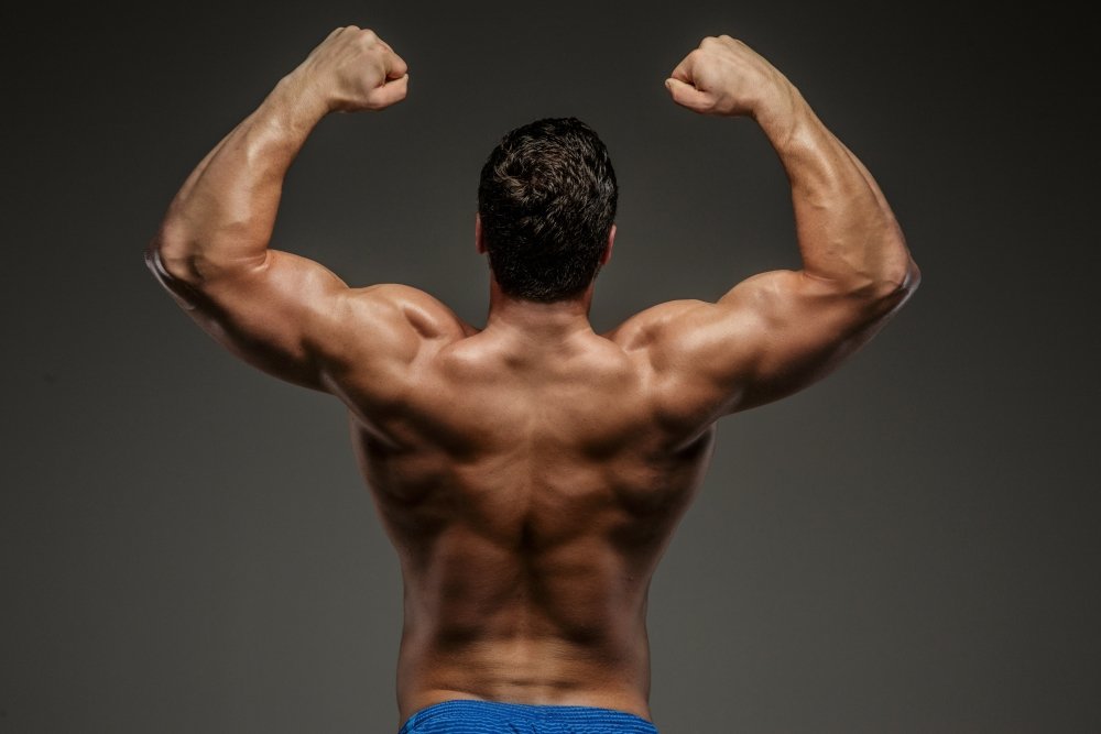 4 Proven Tips & Ideas On How To Build Forearms – Gripzilla