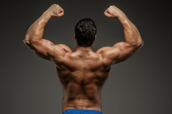 4 Proven Tips & Ideas On How To Build Forearms – Gripzilla