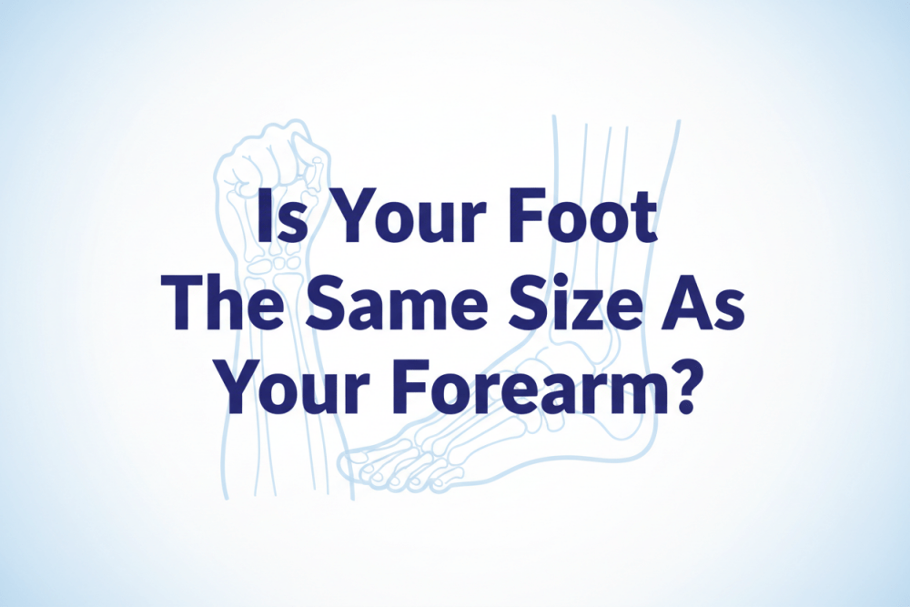 Is Your Foot the Same Size as Your Forearm?