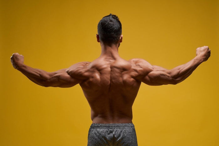 6 Best Compound Back Exercises For A Strong & Muscular Back